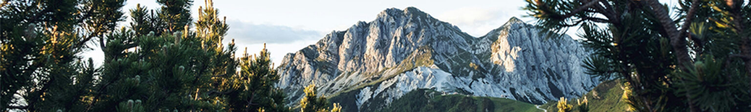 Chain of Custody - DFGE - Institute for Energy, Ecology and Economy