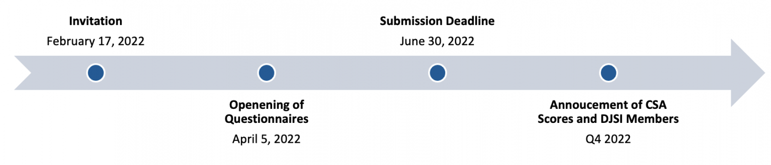 S&P Global CSA 2022 - DFGE - Institute for Energy, Ecology and Economy