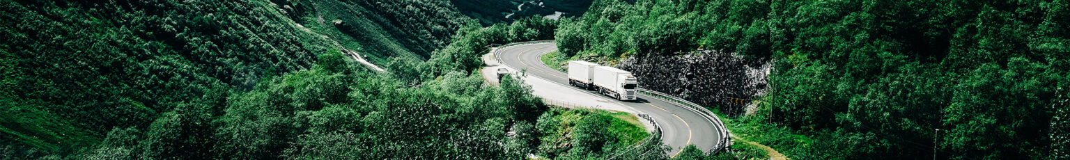 LkSG & CSDDD - DFGE - Institute for Energy, Ecology and Economy