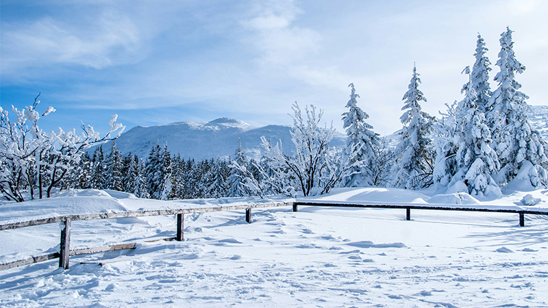 SBTs-2026 - DFGE - Institute for Energy, Ecology and Economy